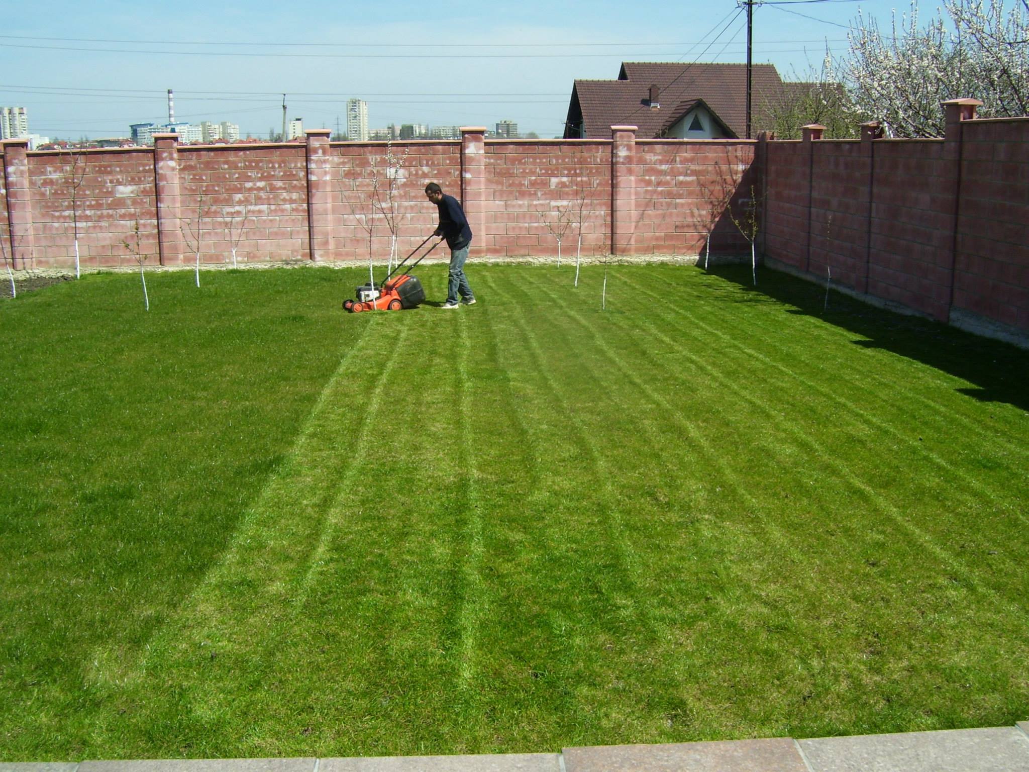 Întreținere gazon – Pepiniera | Amenajare spatii verzi