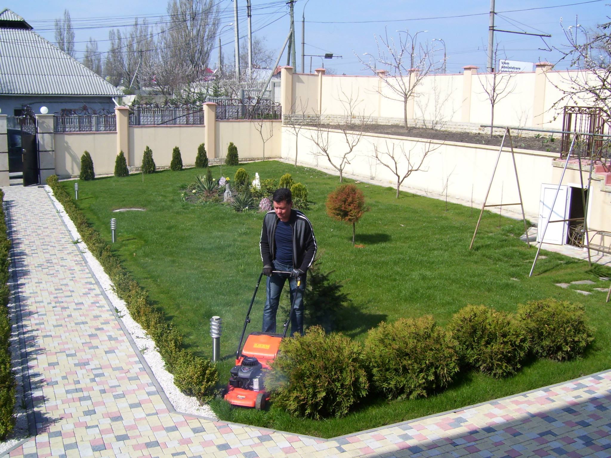 Întreținere gazon – Pepiniera | Amenajare spatii verzi