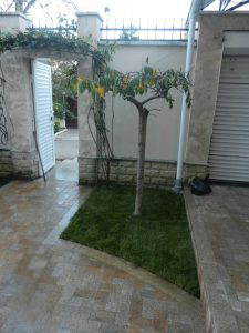 Montare gazon rulou – Pepiniera | Amenajare spatii verzi