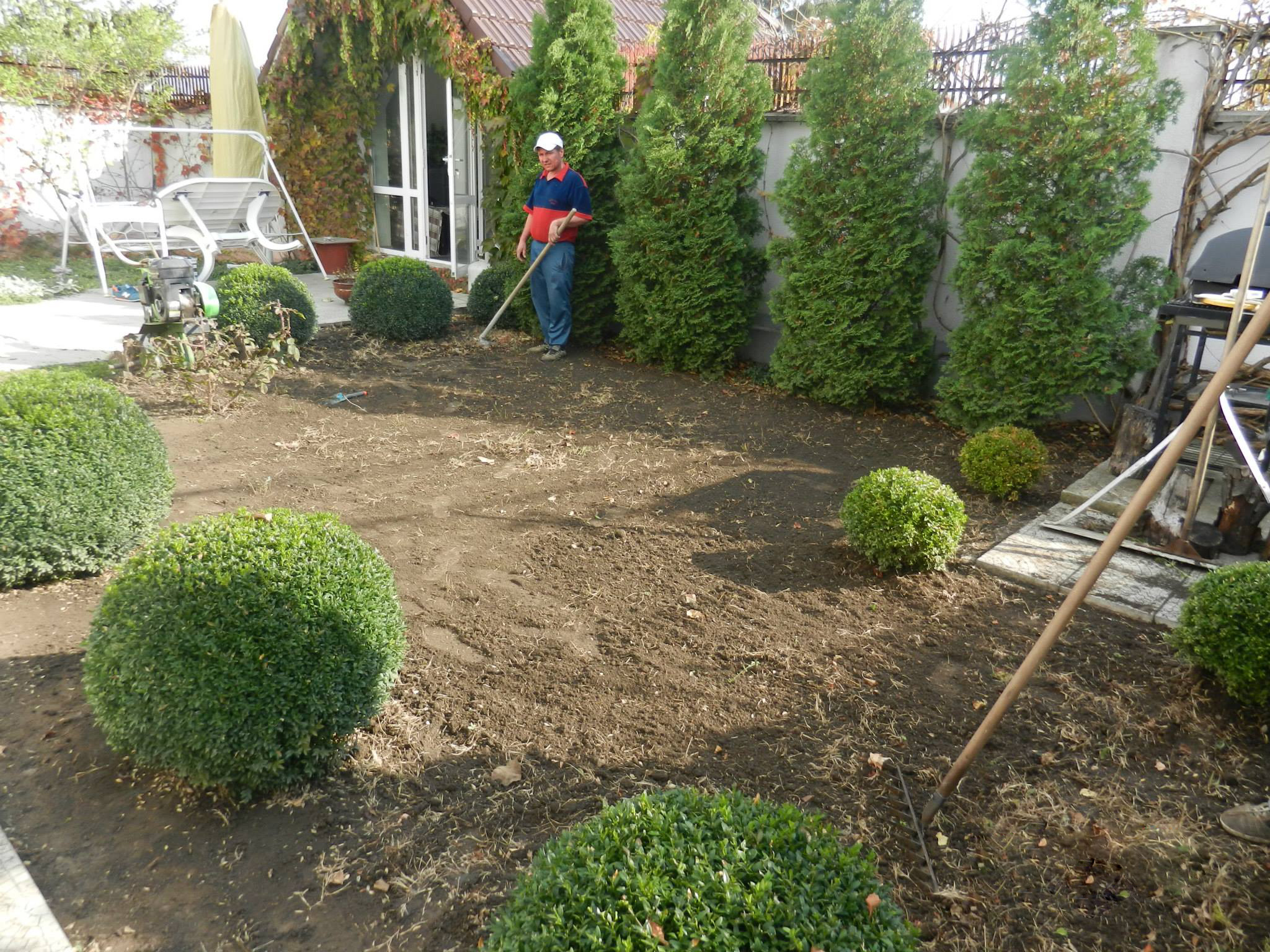 Montare gazon rulou – Pepiniera | Amenajare spatii verzi