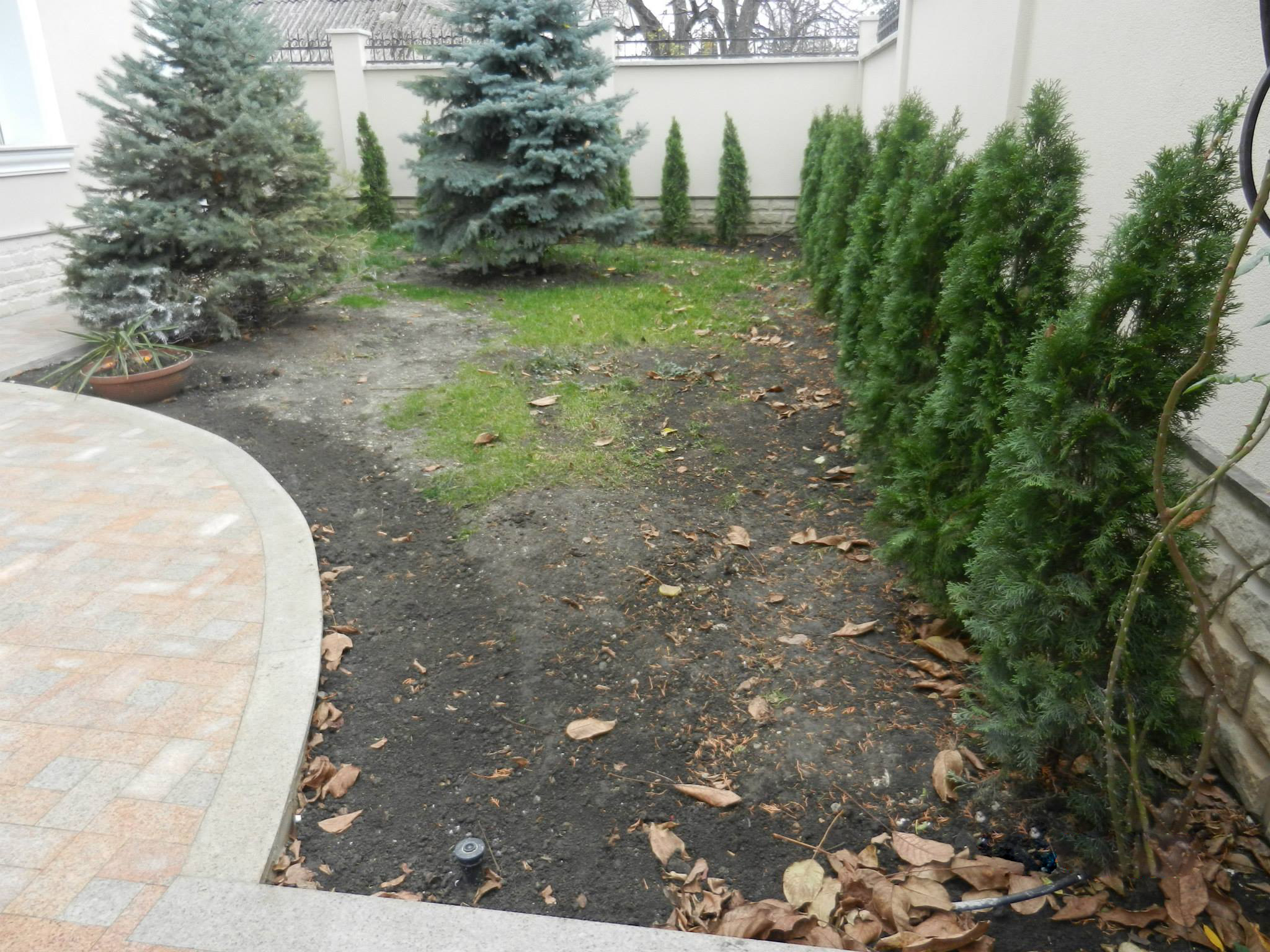 Montare gazon rulou – Pepiniera | Amenajare spatii verzi